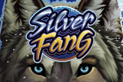 Silver fang | Slot Game Review | pennyslotsmachine.com